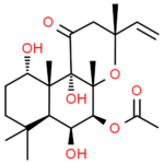 Forskolin: Nootropic Benefits, Uses, Dosage, & Side Effects